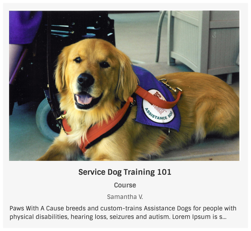 Featured Content Widgets – Thought Industries