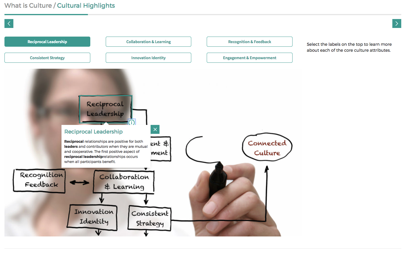 Creating a Highlight Zones Page – Thought Industries